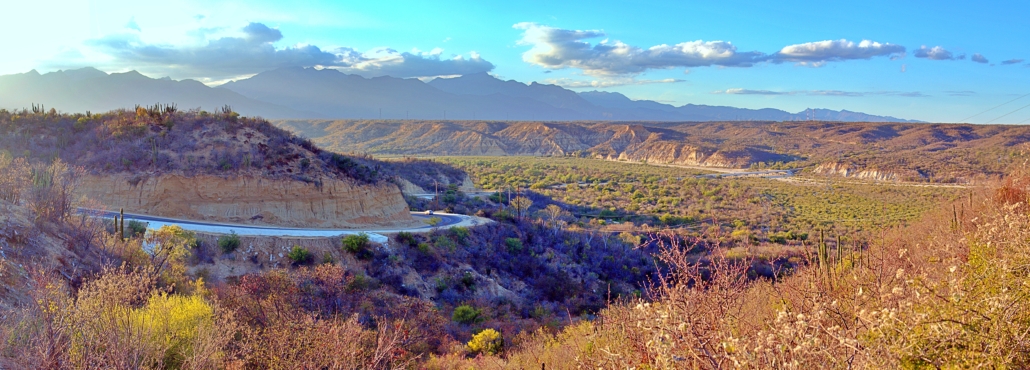 Do 401(k) Contributions Include Employer Matches? - Nydia Retirement ...